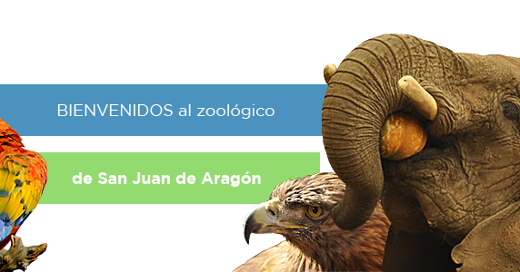 Zoológico de San Juan de Aragón 🐘 🌳, todo lo que necesitas saber!