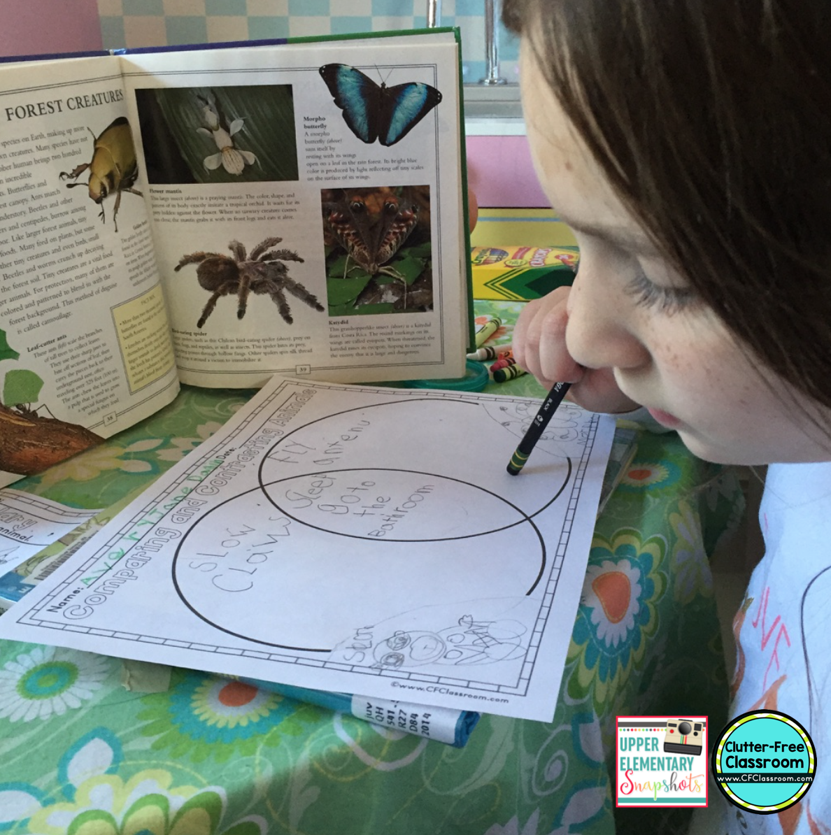 Why Projects are a Great Way to End the School Year | Upper Elementary ...