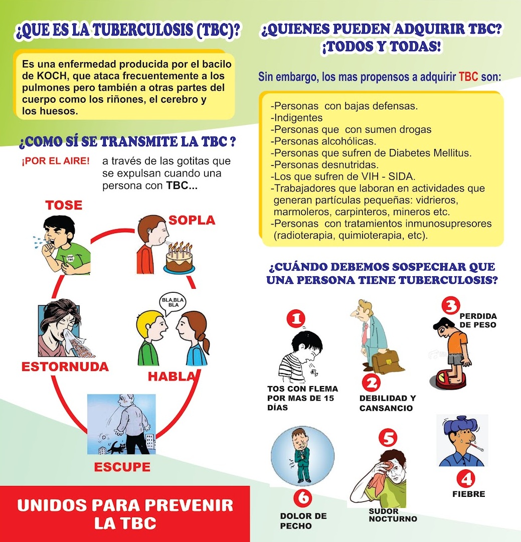 Karen Lunazco B.: ESTRATEGIA SANITARIA NACIONAL DE PREVENCION Y CONTROL ...