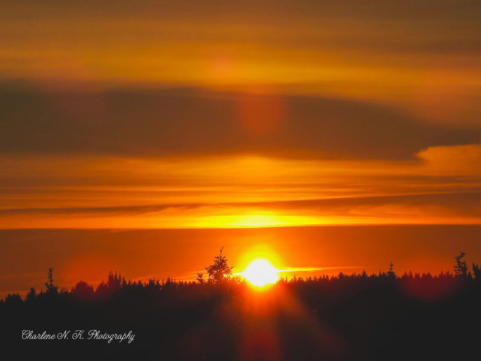 Fading Summer |Blissful Solitary Wanderings