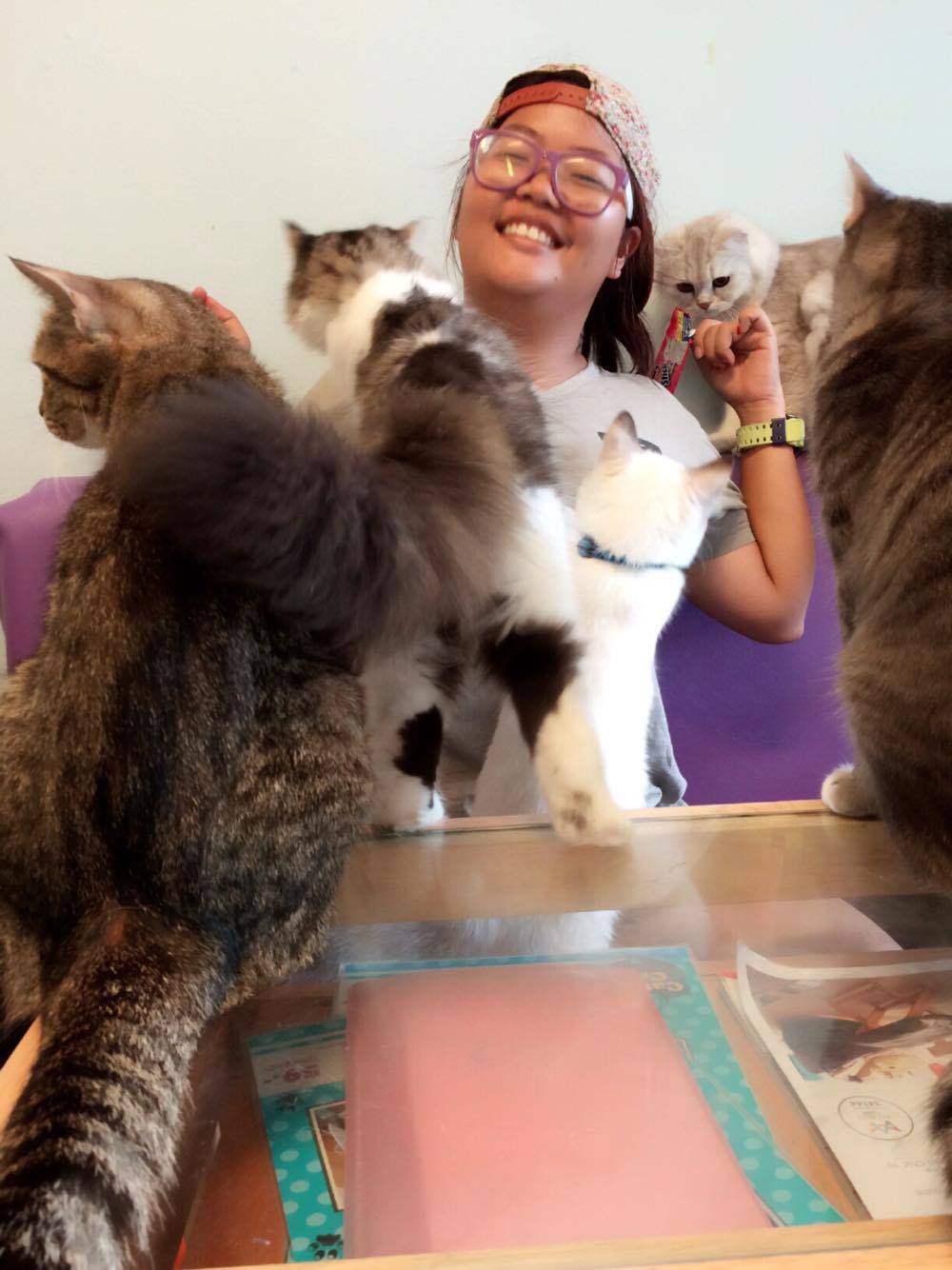 cat Cafe cat-cafe