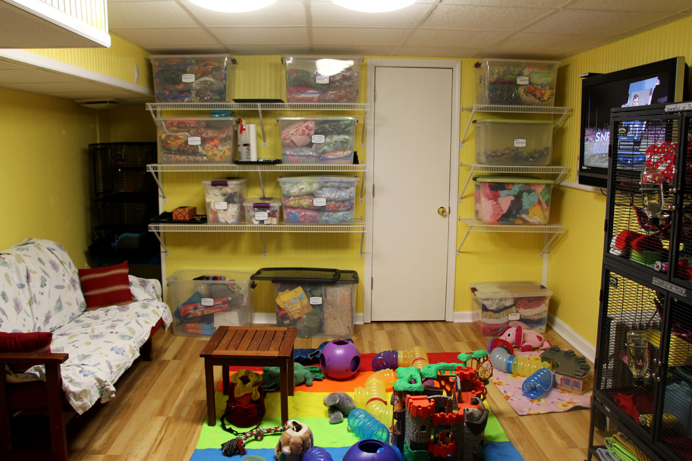 Ratropolis: The Rat Room Remodel