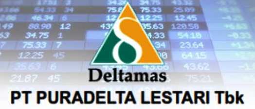 Jadwal Pembagian Dividen Saham DMAS oleh PT Puradelta Lestari Tbk Tahun 2020