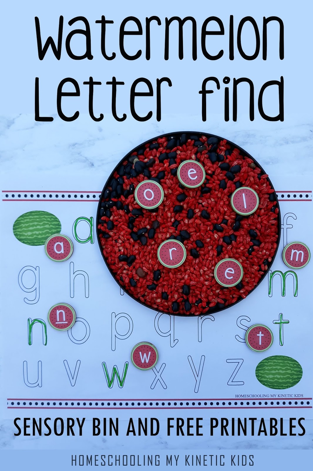 Watermelon Letter Disk Moveable Alphabet