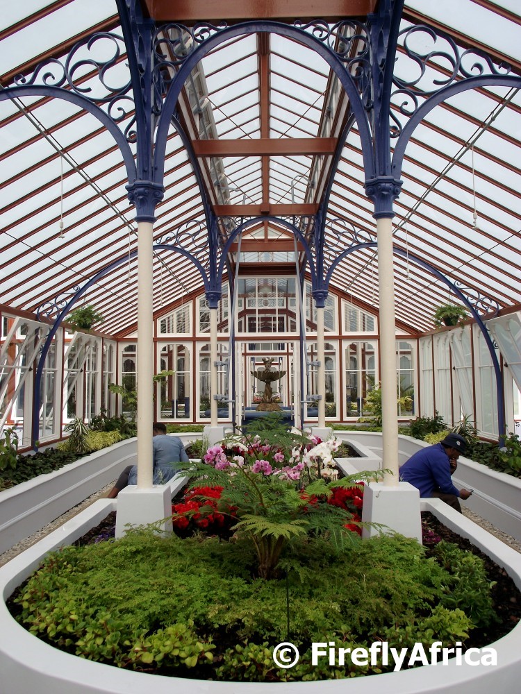 Port Elizabeth Daily Photo: Conservatory interior