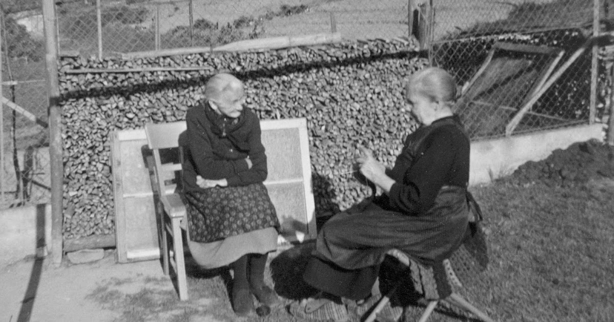 Der Bewusste Tod: Über das Altern