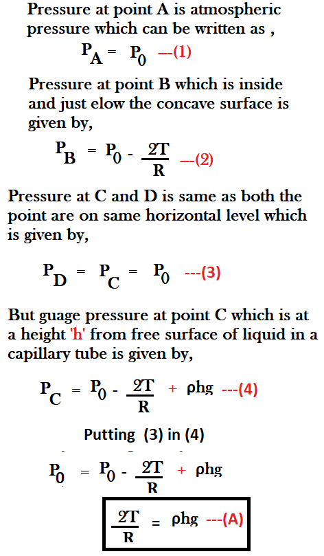 Capillary Action ~ Physics Padhai