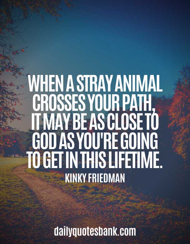 170+ Inspirational Quotes About Choosing Paths In Life