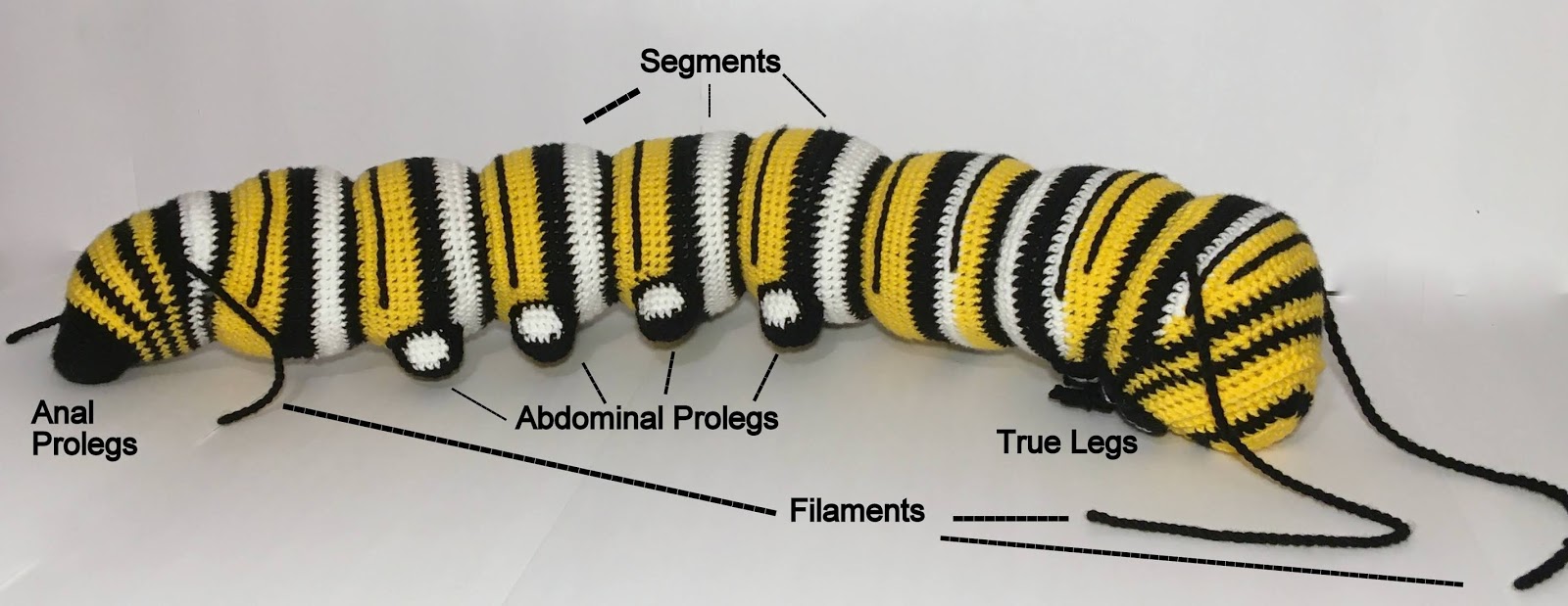 Monarch Caterpillar Pattern Release!