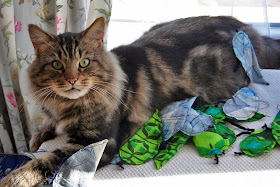 The Butterfly Balcony: Things To Make & Do - Catnip Toy