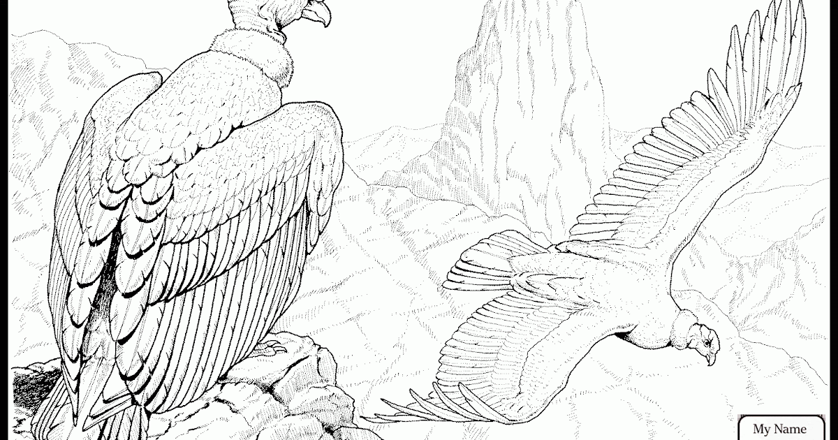 condors coloring pages - jiahajava