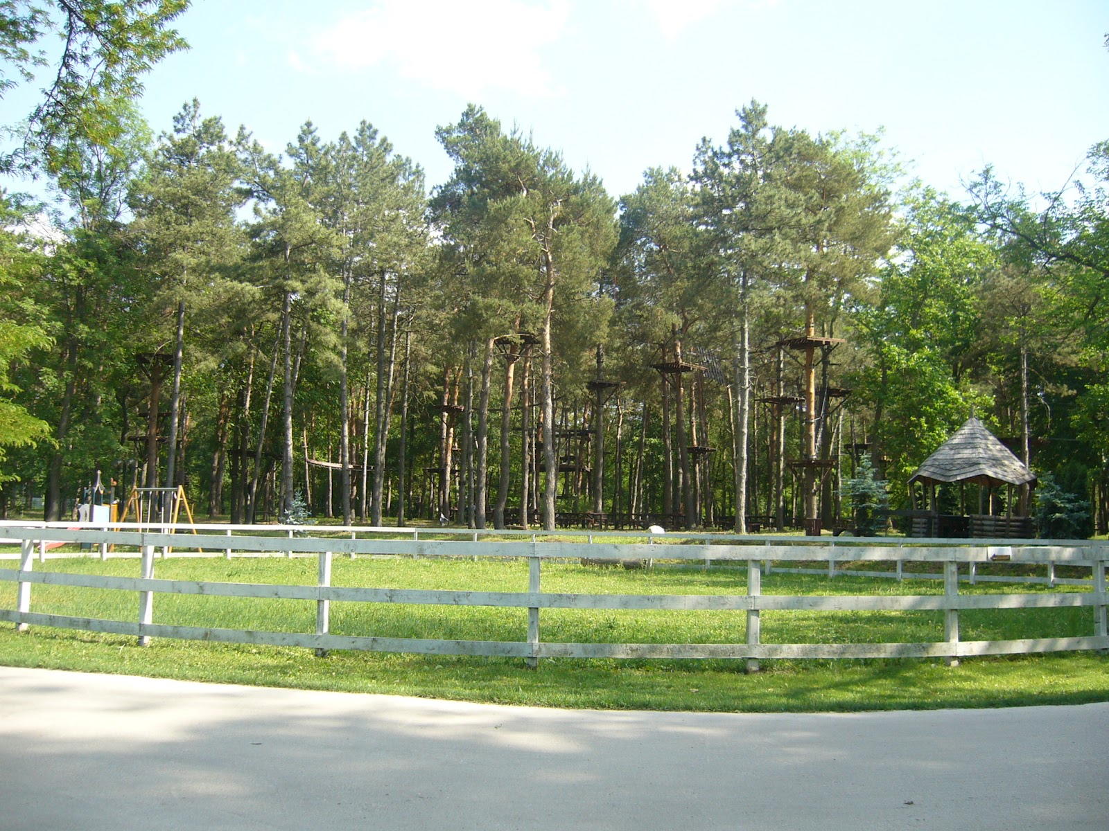 Romania prin ochii mei: Parcul National Comana