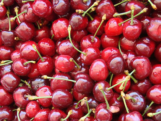 Quả cherry: Quả cherry - Dinh dưỡng và những lợi ích bất ngờ