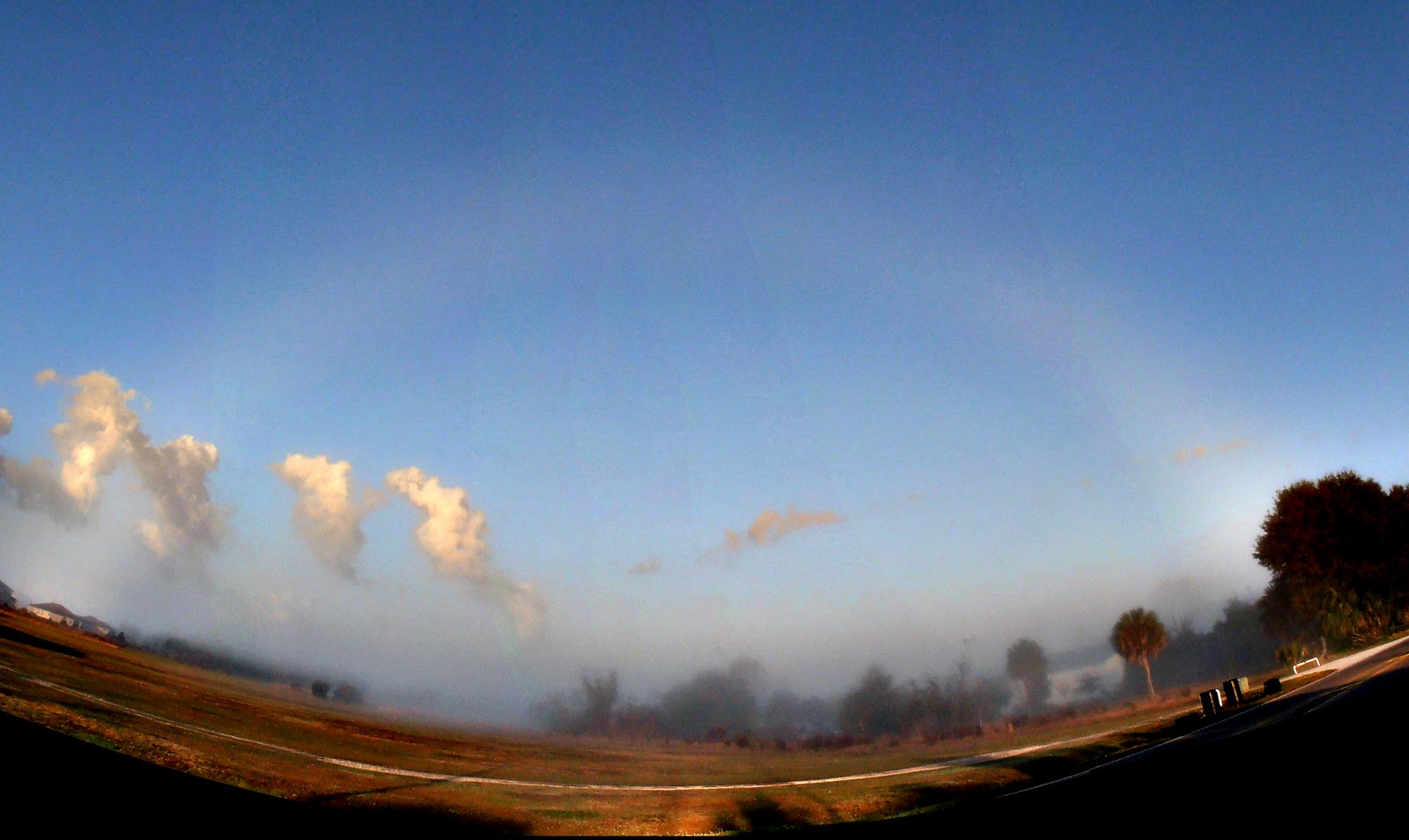 Florida Sundog: Fogbow