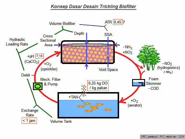 Bio Filter Kolam Ikan Hias ~ Dunia Air