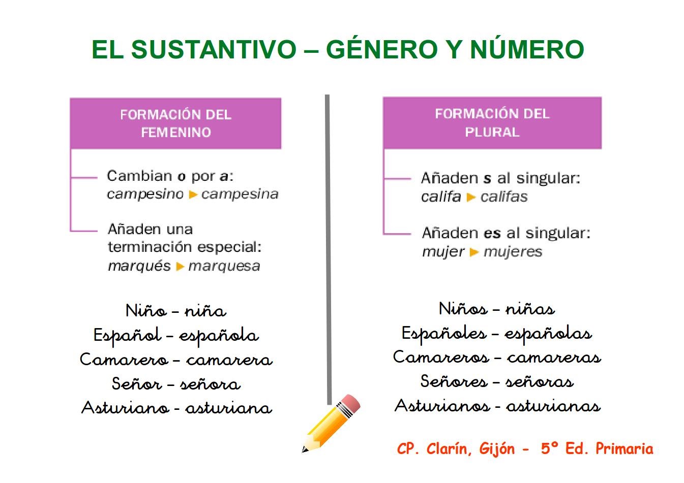 Profe Brunele: Género y Numero de los sustantivos Profe Brunele: Género y Numero de los sustantivos