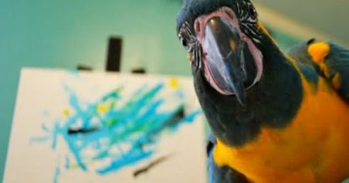 White Wolf : Macaw paints abstract protraits of parrots to save her ...