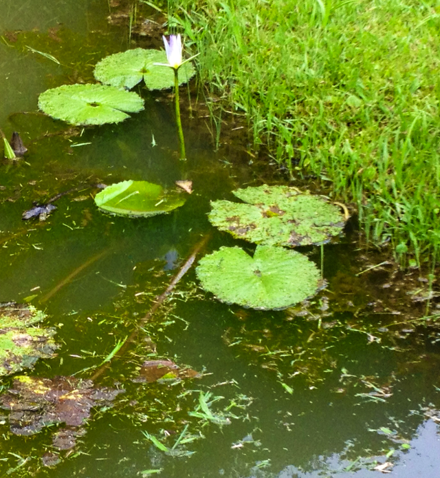 Garden Route Road Trip: Silaka nature reserve