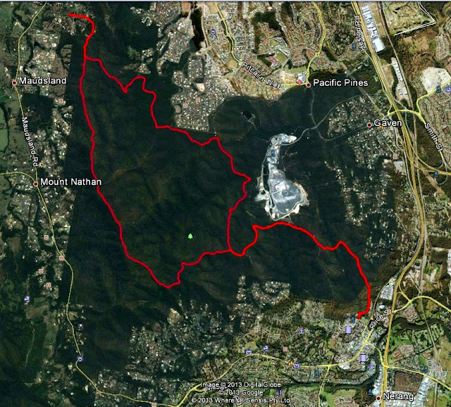 An Igorot Journey: Nerang State Forest trail run 2013