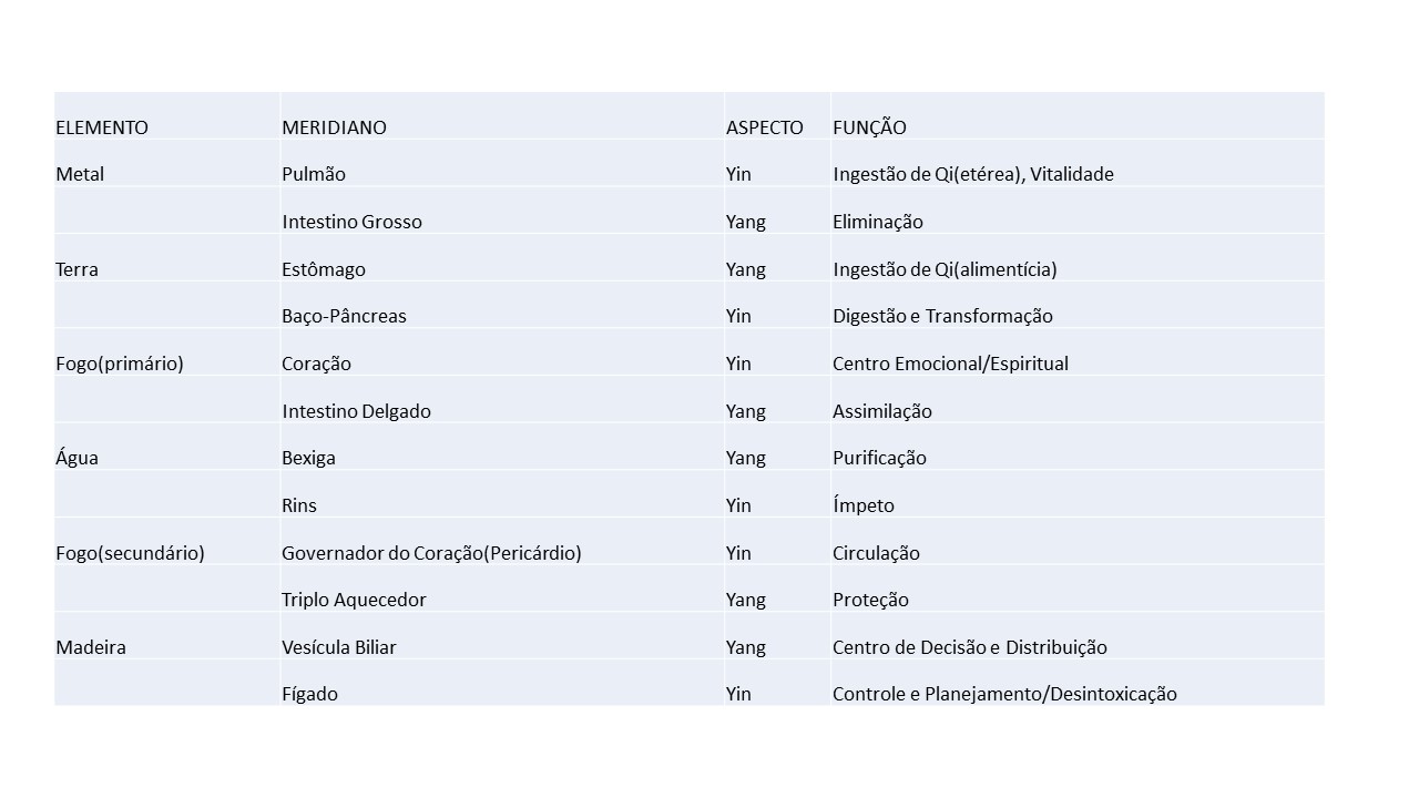 TAI CHI TRAINER: COMO FUNCIONA A CIRCULAÇÃO DO QI NO CORPO