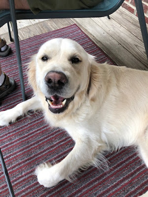 Simplicity by Lateblossom: Same Layout, Different Looks...and a PS of ...