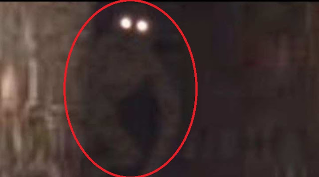 10 Unexplained Creatures Caught On Tape