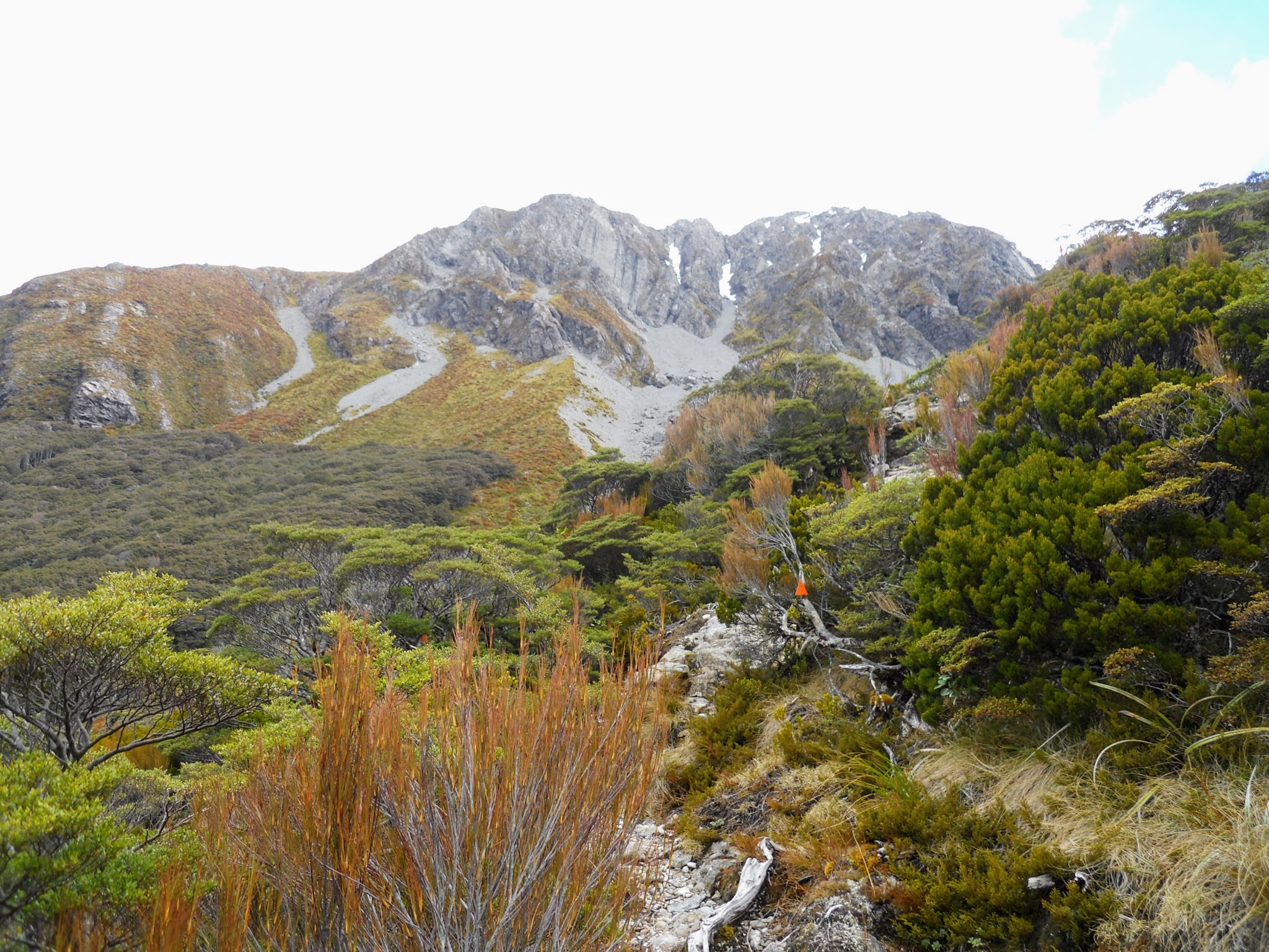 Tramping in the New Zealand backcountry: NZ Bush Adventures: Excellent ...