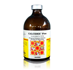 CALCIDEX Plus - Info Pets