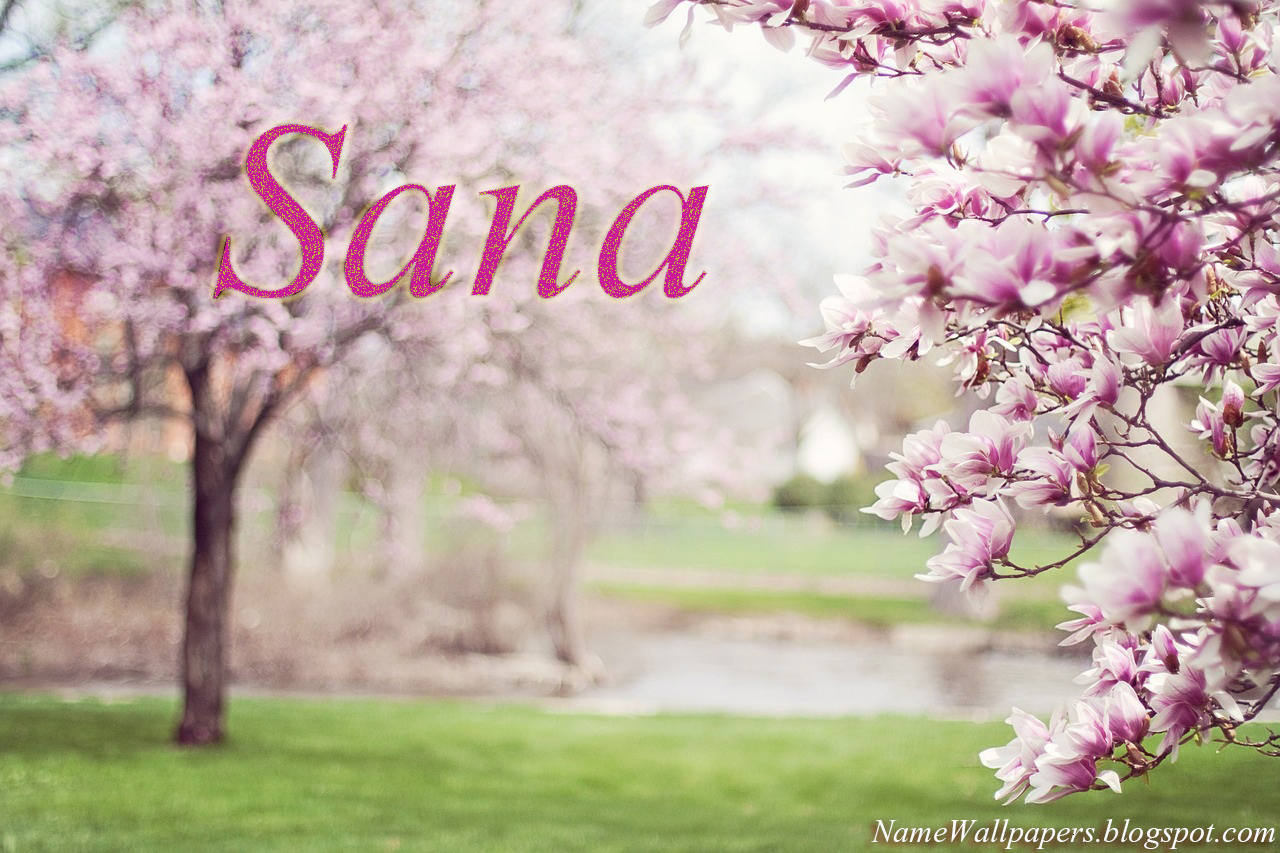 Sana Name Wallpapers Sana ~ Name Wallpaper Urdu Name Meaning Name Images Logo Signature