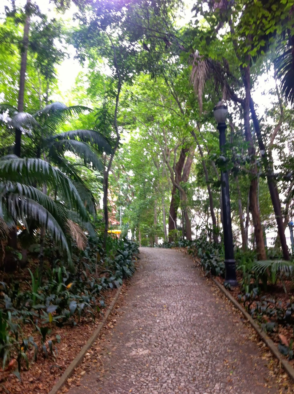 Parque Trianon ou Tenente Siqueira Campos em São Paulo ~ Áreas Verdes ...