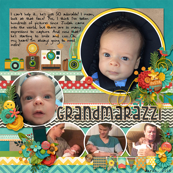 Newest Releases: Snapshot, Slides & Snapshot Journal Cards | Clever ...