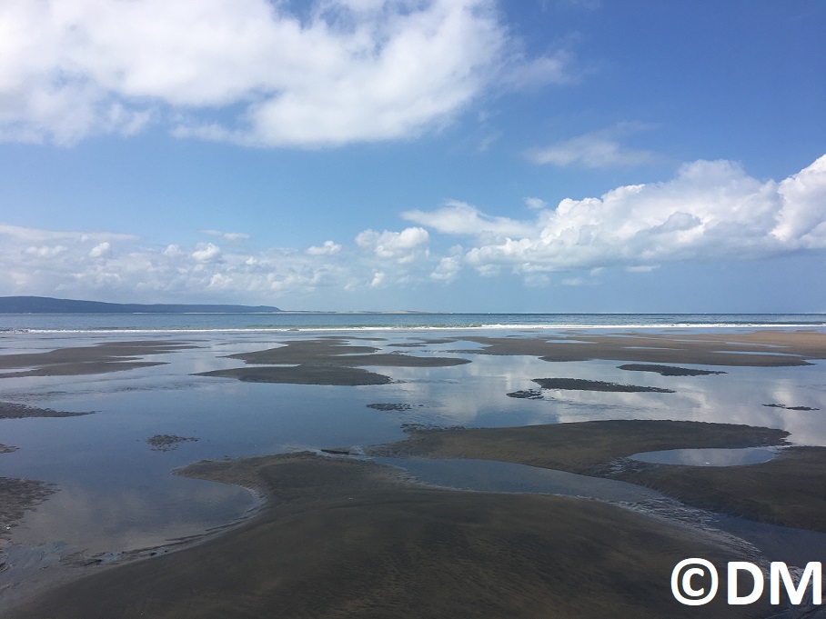 Vivre Auckland: Pouto Point, son phare et la plus longue plage routière ...