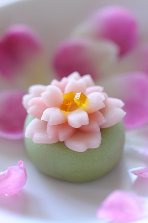 Hydrangea Hill Cottage: wagashi