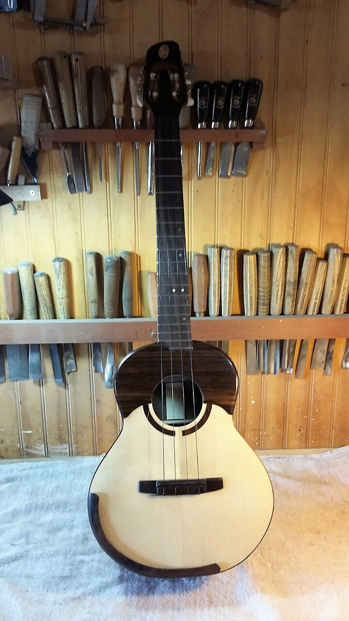 Instrumentos de cuerda - Claudio Rojas Caro (luthier) - taller Antilko ...