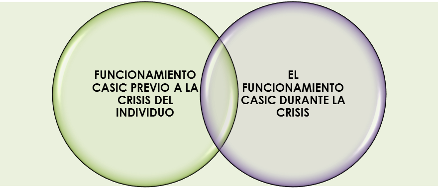 PERFIL CASIC PARA LA INTERVENCIÓN EN CRISIS: octubre 2015