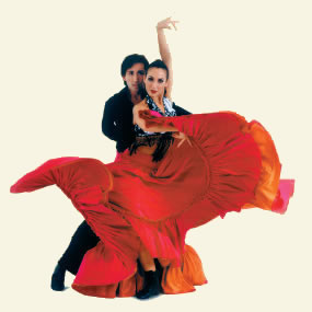 Beauty of Ballroom Dance: Ballroom on Fire with Salsa