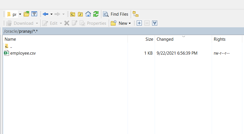 Creating a REST API with JSON payload in OIC to read CSV based files