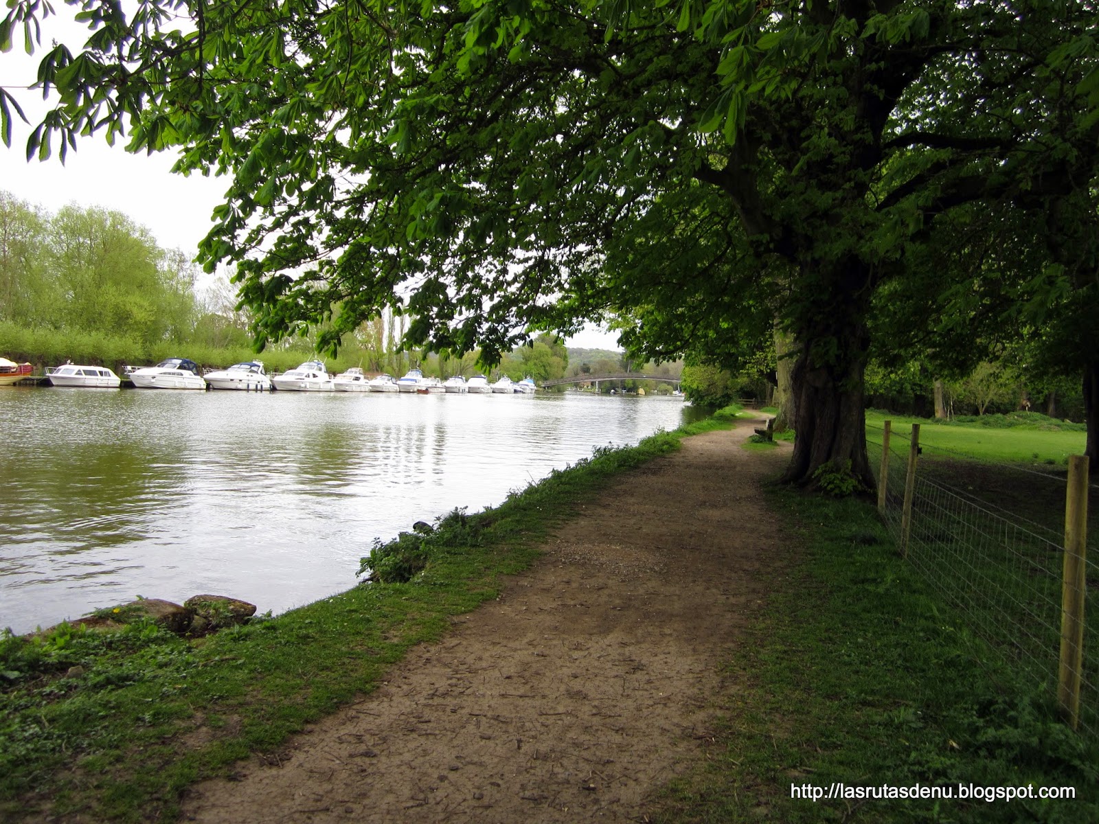 Las rutas de Nu: Thames Path: Henley to Marlow