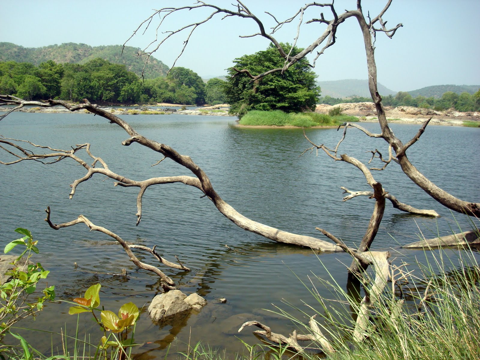 Tamilnadu Tourism: Poolampatty, Edappadi, Salem