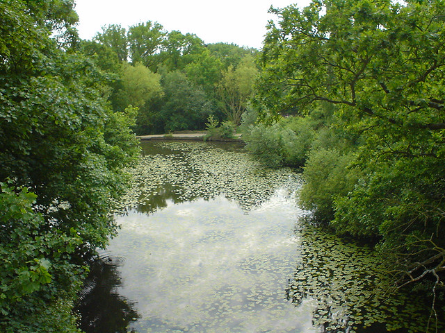 The Fleet – London’s Underground River ~ Kuriositas