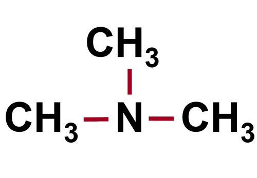 Materia Medica Homeopatica: PROPYLAMINLUM (Propilamina o Trimetilamina ...
