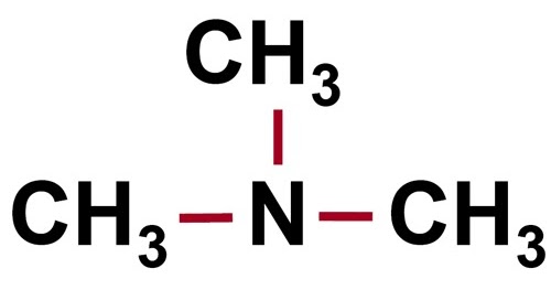 Materia Medica Homeopatica: PROPYLAMINLUM (Propilamina o Trimetilamina ...