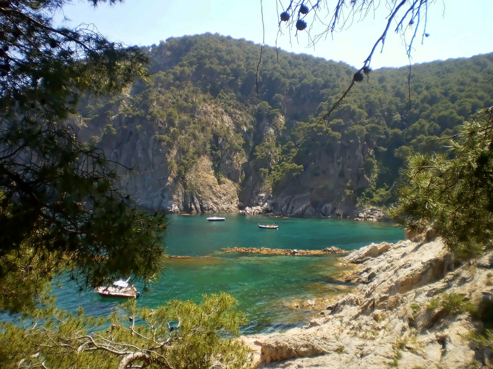 NATURA VIVA: DE TAMARIU A CALA PEDROSA