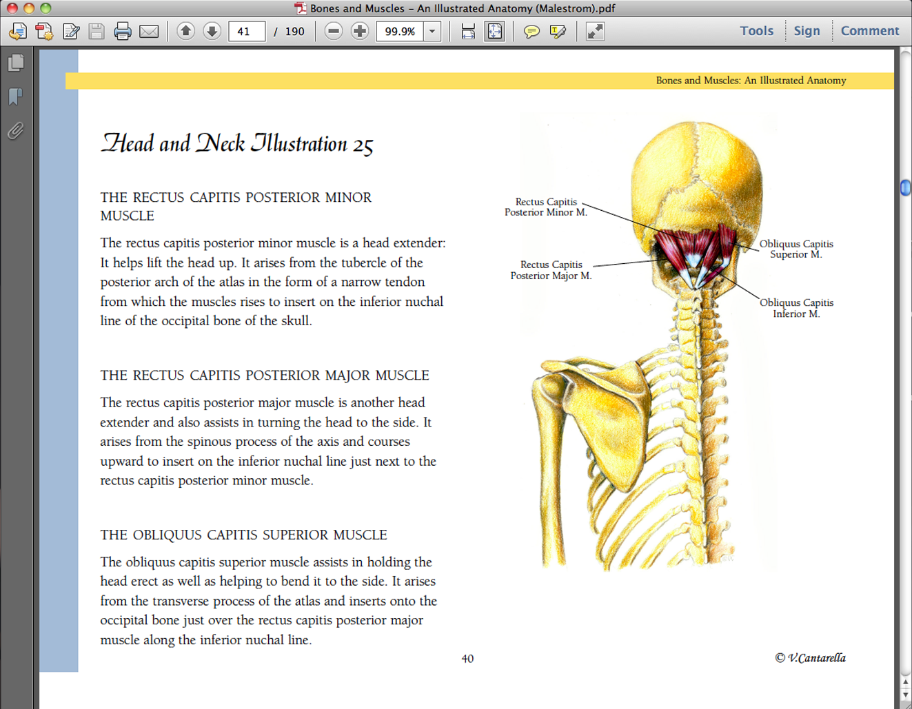 MalcolmPulliam: Range of Motion in the Spine&Neck