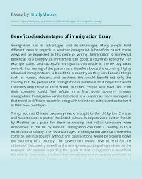 essay examples: Immigration Essay