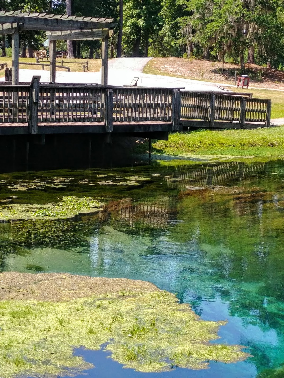 Another Mile Another Destination Blog: Magnolia Springs State Park ...