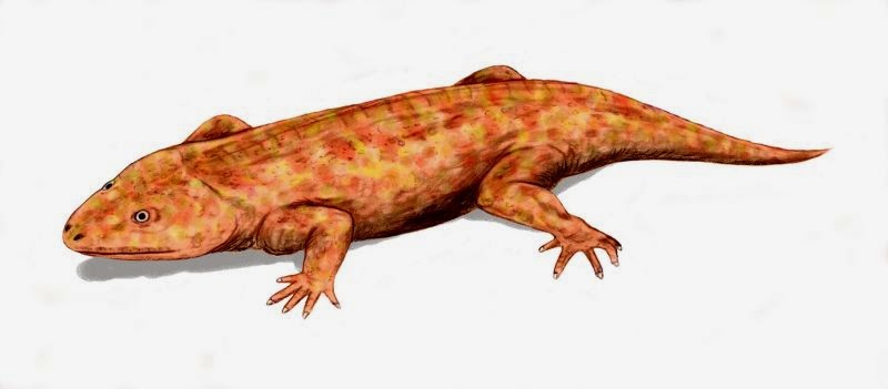 El profesor Bigotini: LOS PRIMEROS ANFIBIOS. CONQUISTANDO LA TIERRA FIRME