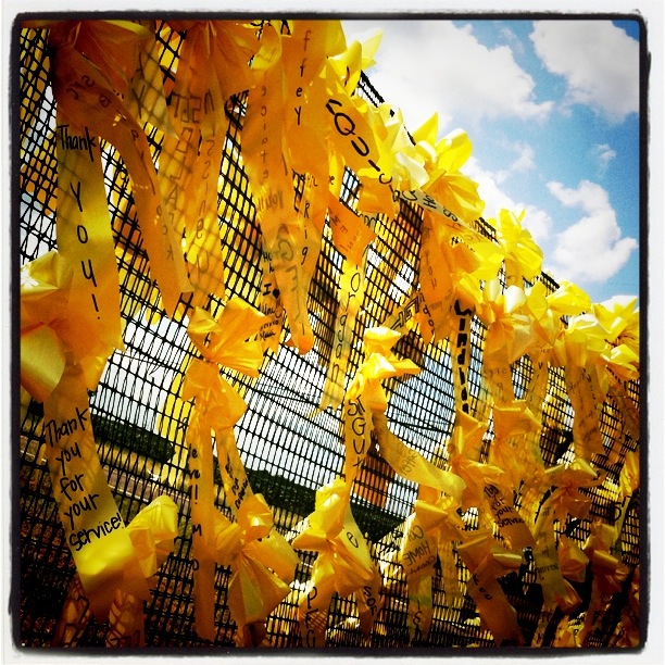 tocaya project {three.six.five}: {View From Today's Bird Nest} & {Tie a ...