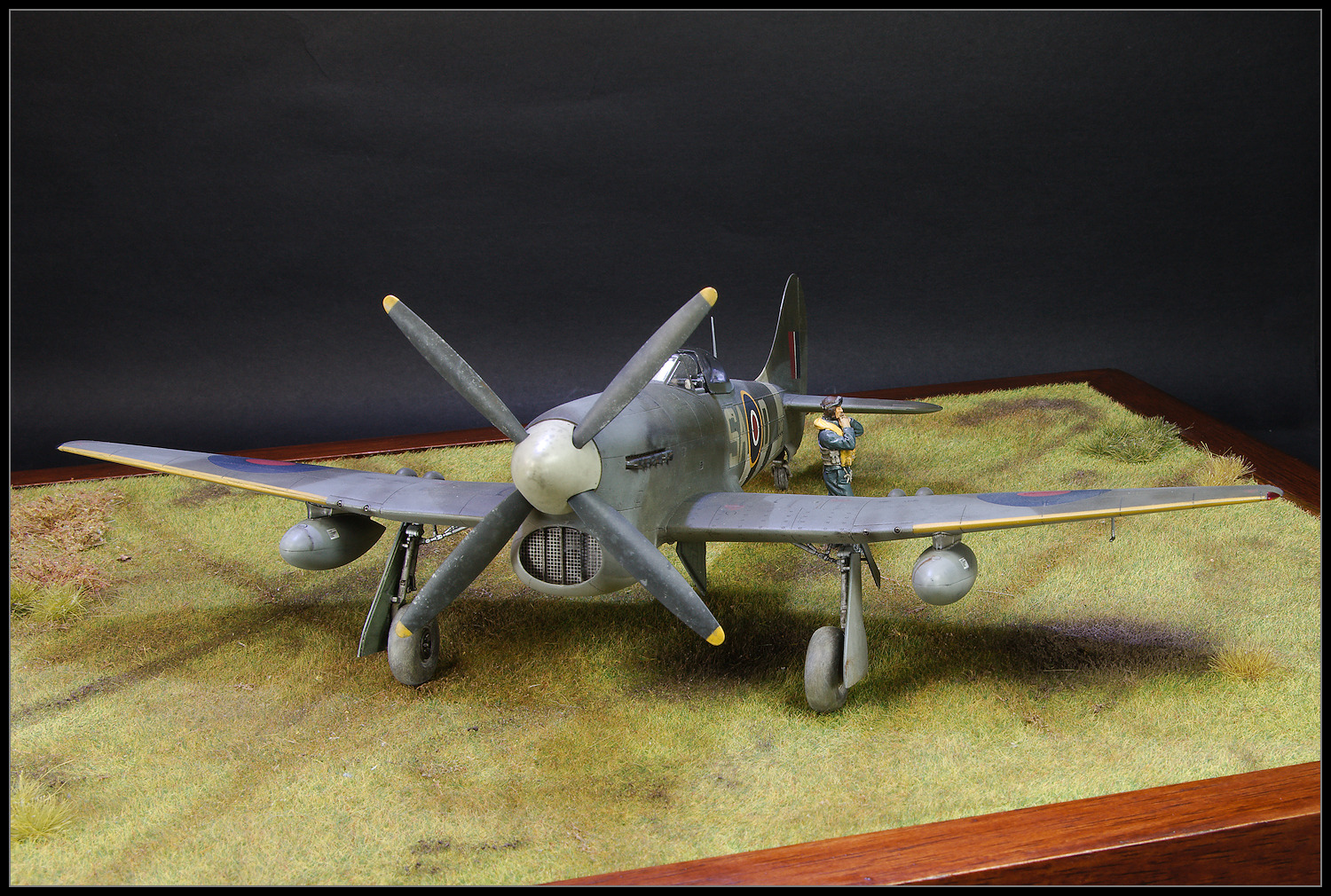 The Hamfisted Modeller: 1/48 Eduard Hawker Tempest - 486 (NZ) Sqn RAF