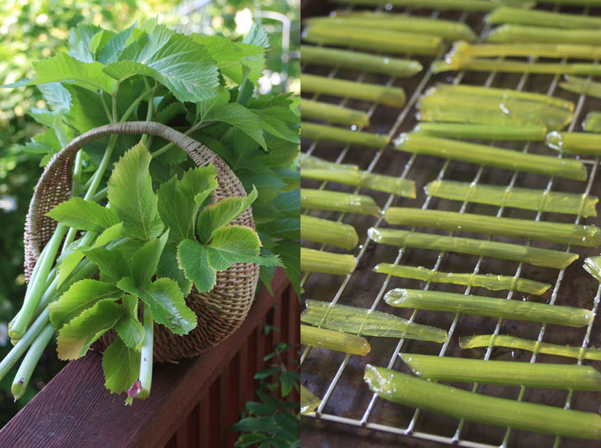 Candied Angelica Stems at Scott Paramore blog